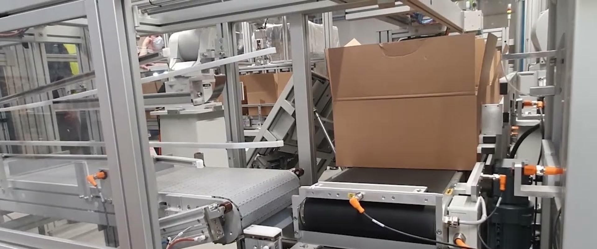 What is a Bilateral Facet Joint Injection?